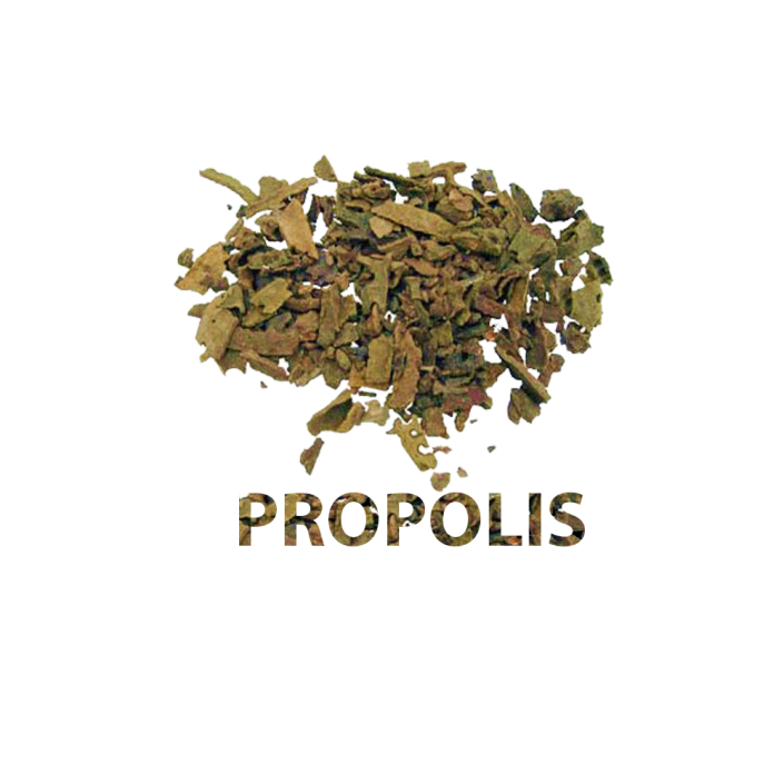 Apilarnil cu miere - Stupina Crainiceanu